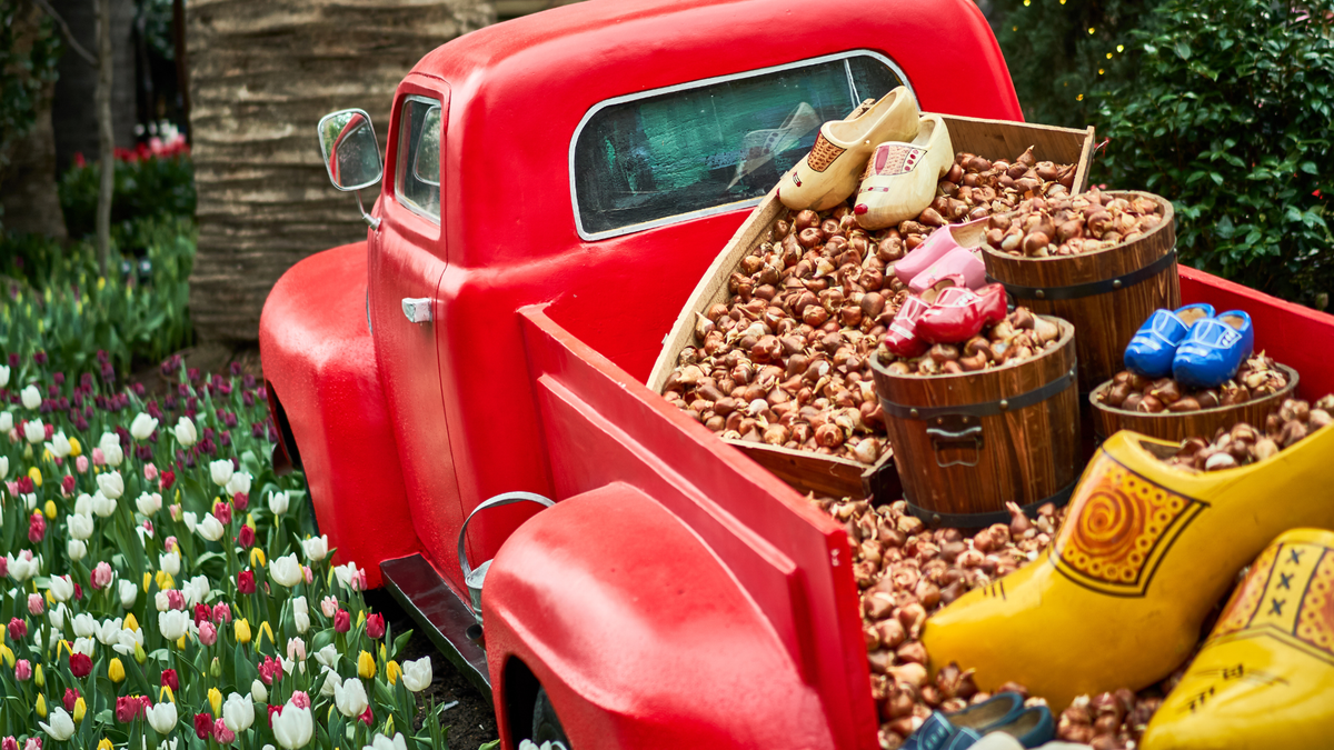 No Pranks, Just Plans: April in Singapore Hits Different – Holiday Inn ...